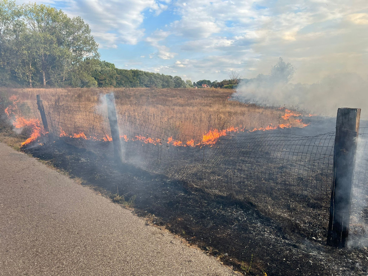Hevige vegetatiebrand in Haren: 8.000 vierkante meter vernield door de ...