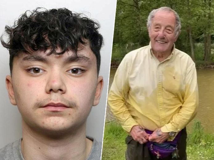 Schokkende beelden tonen hoe slag van tiener (16) Britse legerveteraan ...