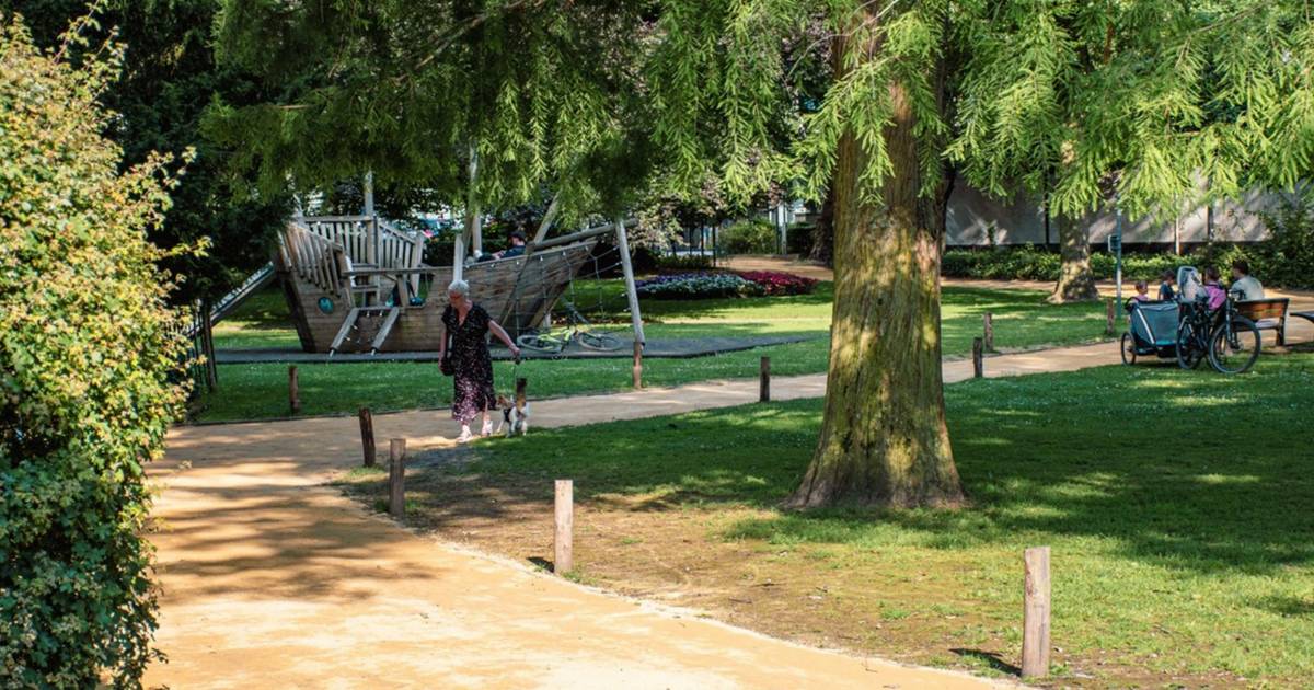 Paden van het stadspark opgeknapt | Aarschot | hln.be