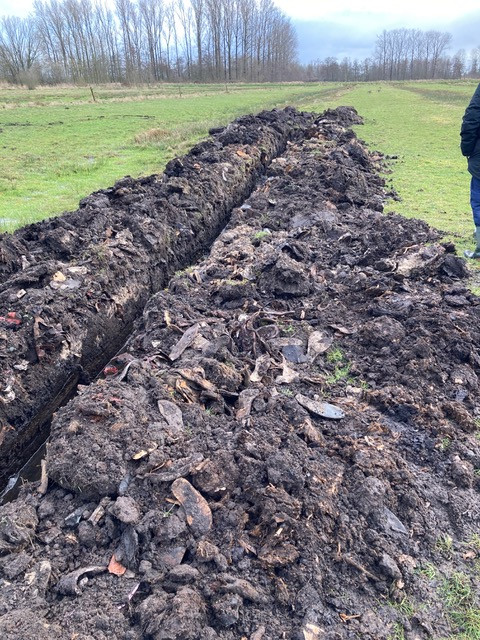 Natuurliefhebbers opgelet: tussen Waalwijk en Waspik spat de natuur zowat de grond uit | Foto ...