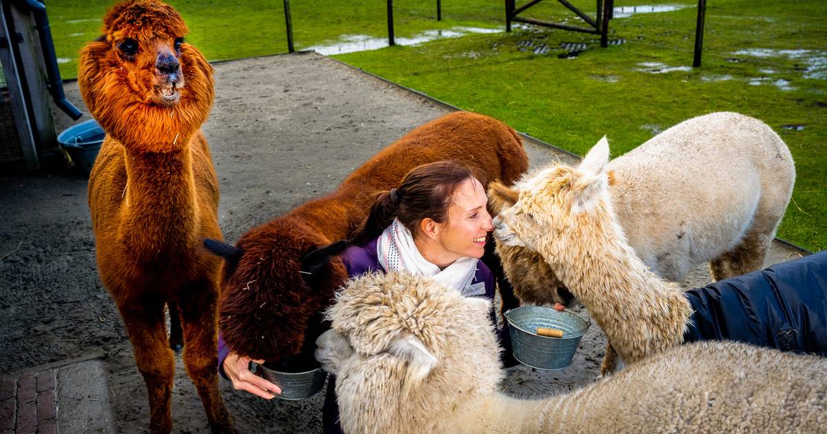 Dit zijn onze meest bijzondere verhalen van de afgelopen week | Rotterdam | AD.nl