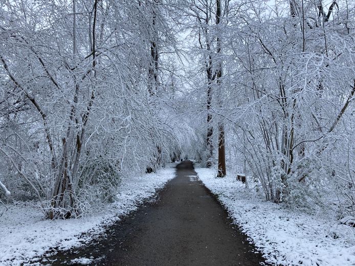 Foto’s! Utrecht ontwaakt in een winterparadijs | Utrecht | AD.nl