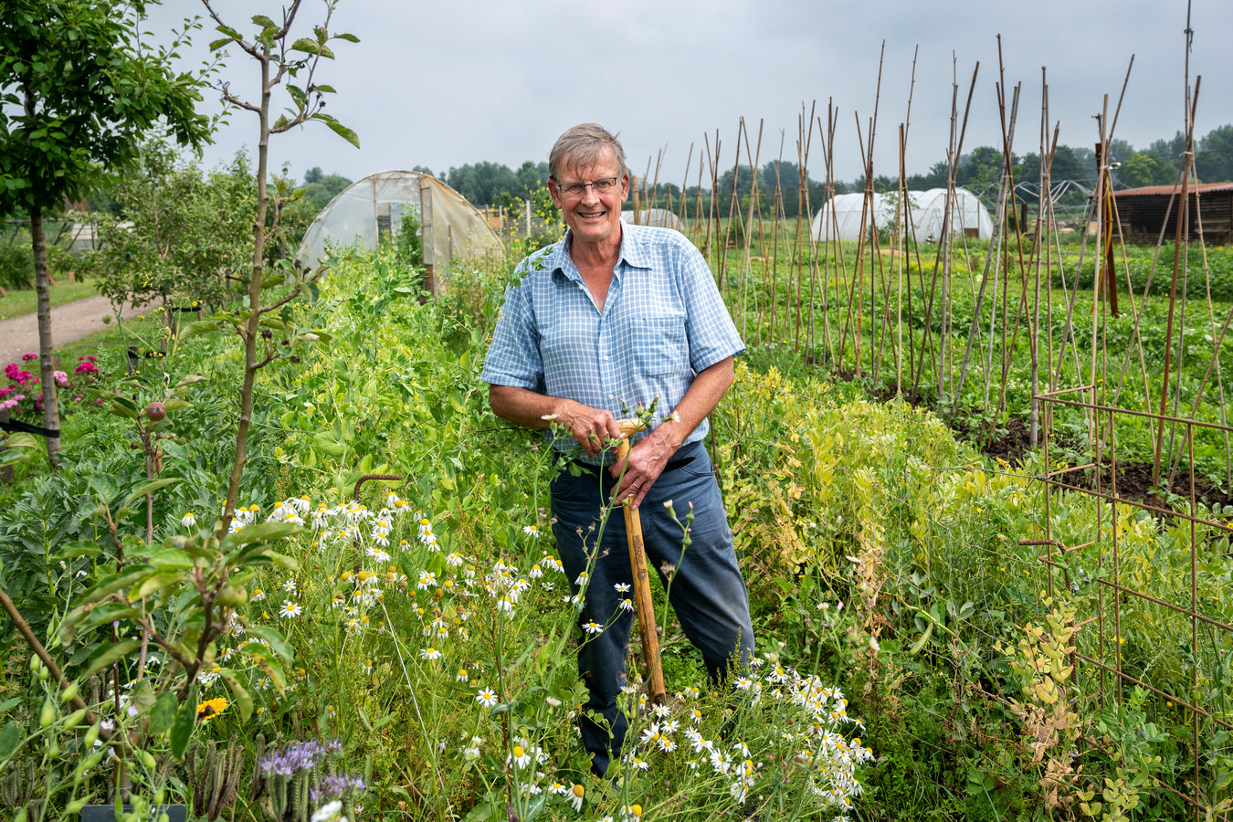 Zelf groenten oogsten op een van van de groenste plekjes van de stad in ... Zelf groenten oogsten op een van van de groenste plekjes van de stad in ...