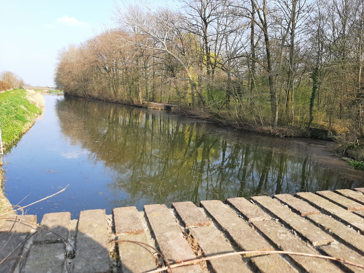 Wensen voor Linge: meer natuur, leuker voor recreant en grotere ...