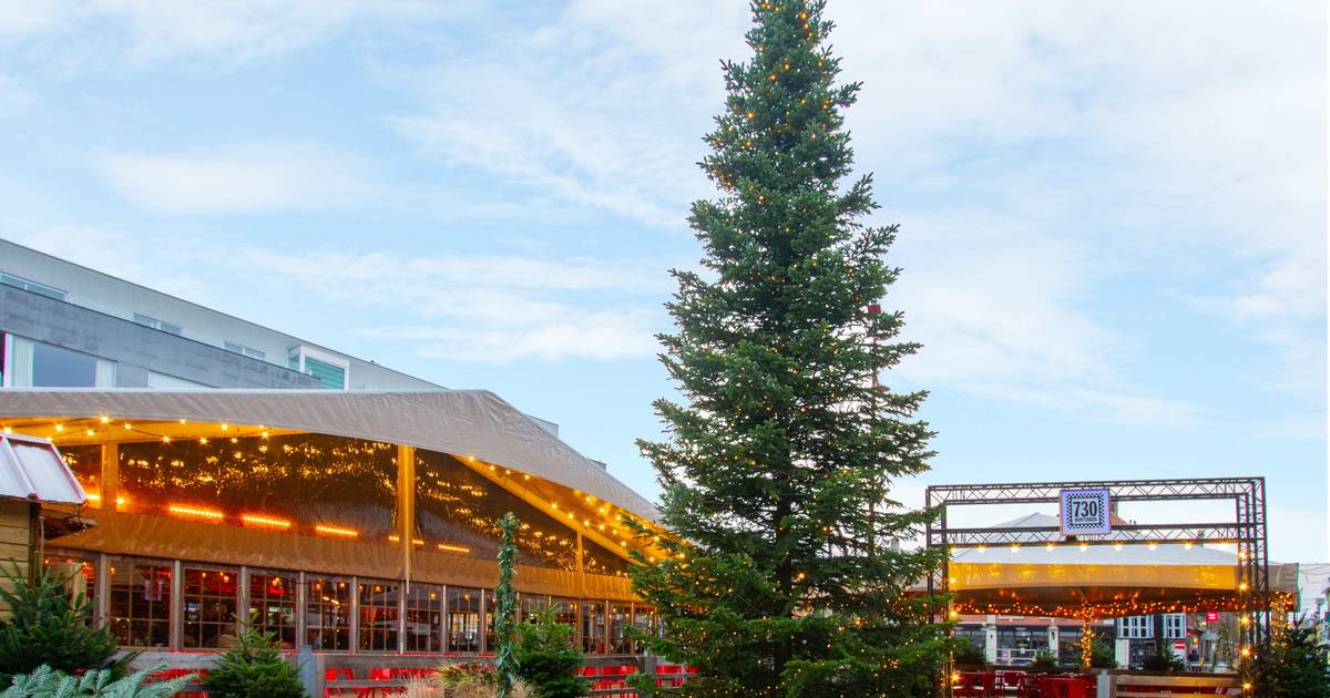 Winterbar verhuist weer naar Park Fort Liezele: “Met energiecrisis achter de rug, is ook ...