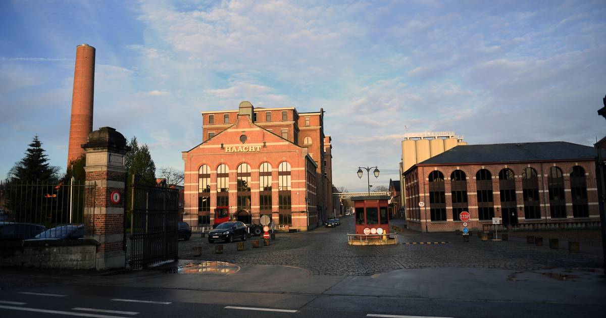 VAL-water en -limonade van Brouwerij Haacht erkend als Vlaams-Brabants ...