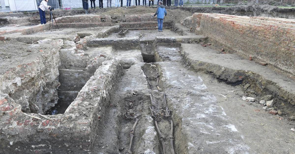 Graf non na 439 jaar blootgelegd | Antwerpen | hln.be