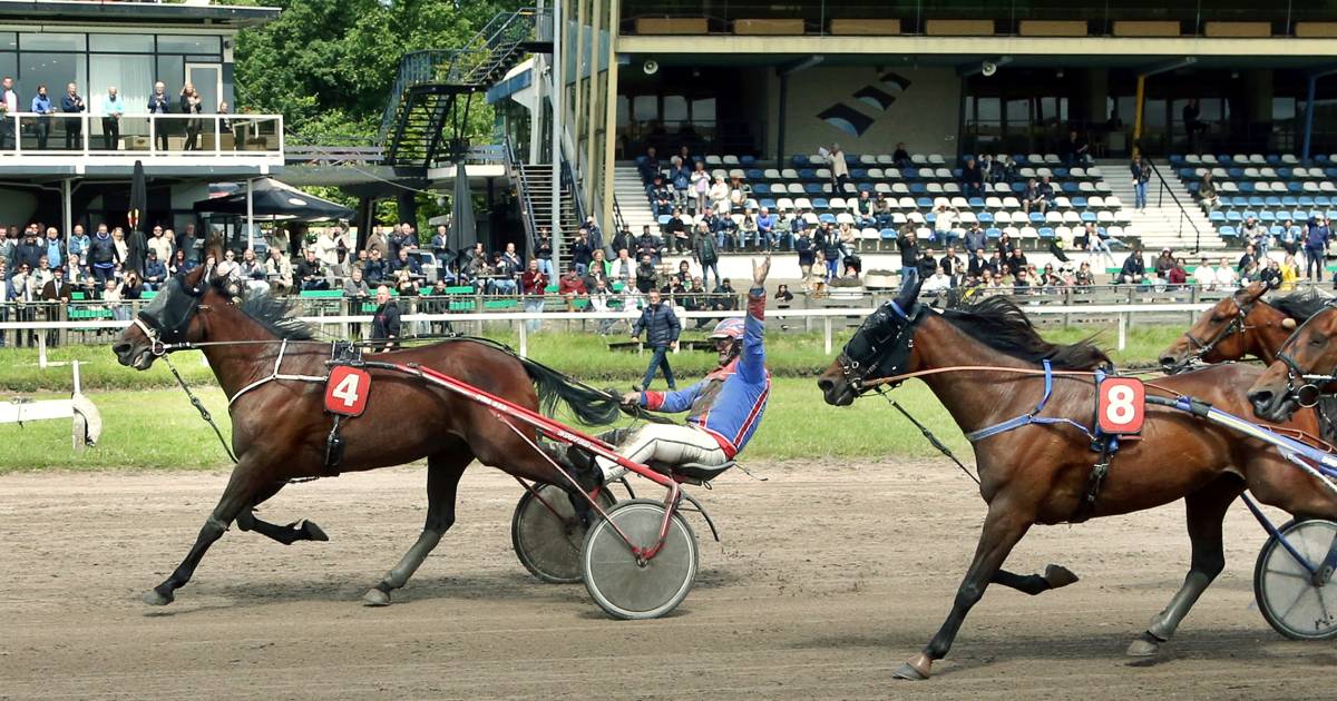 Sensatie op Duindigt, Durk M Boko wint Gouden Zweep voor vierde keer ...