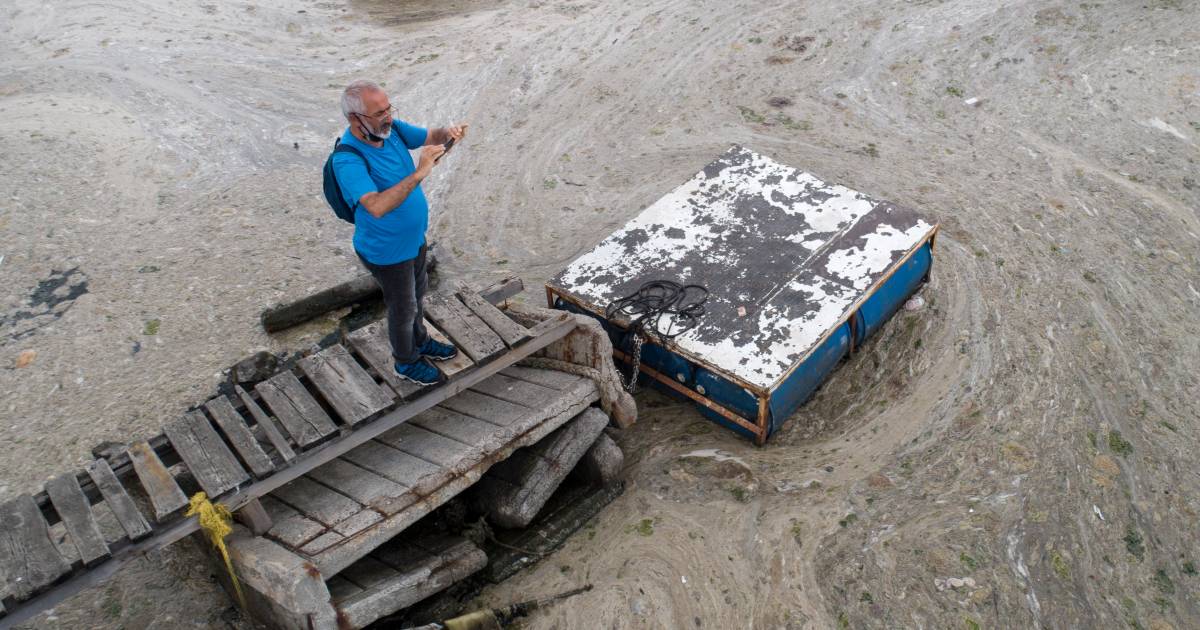 Les côtes turques envahies de “morve de mer” | Ecologie | 7sur7.be