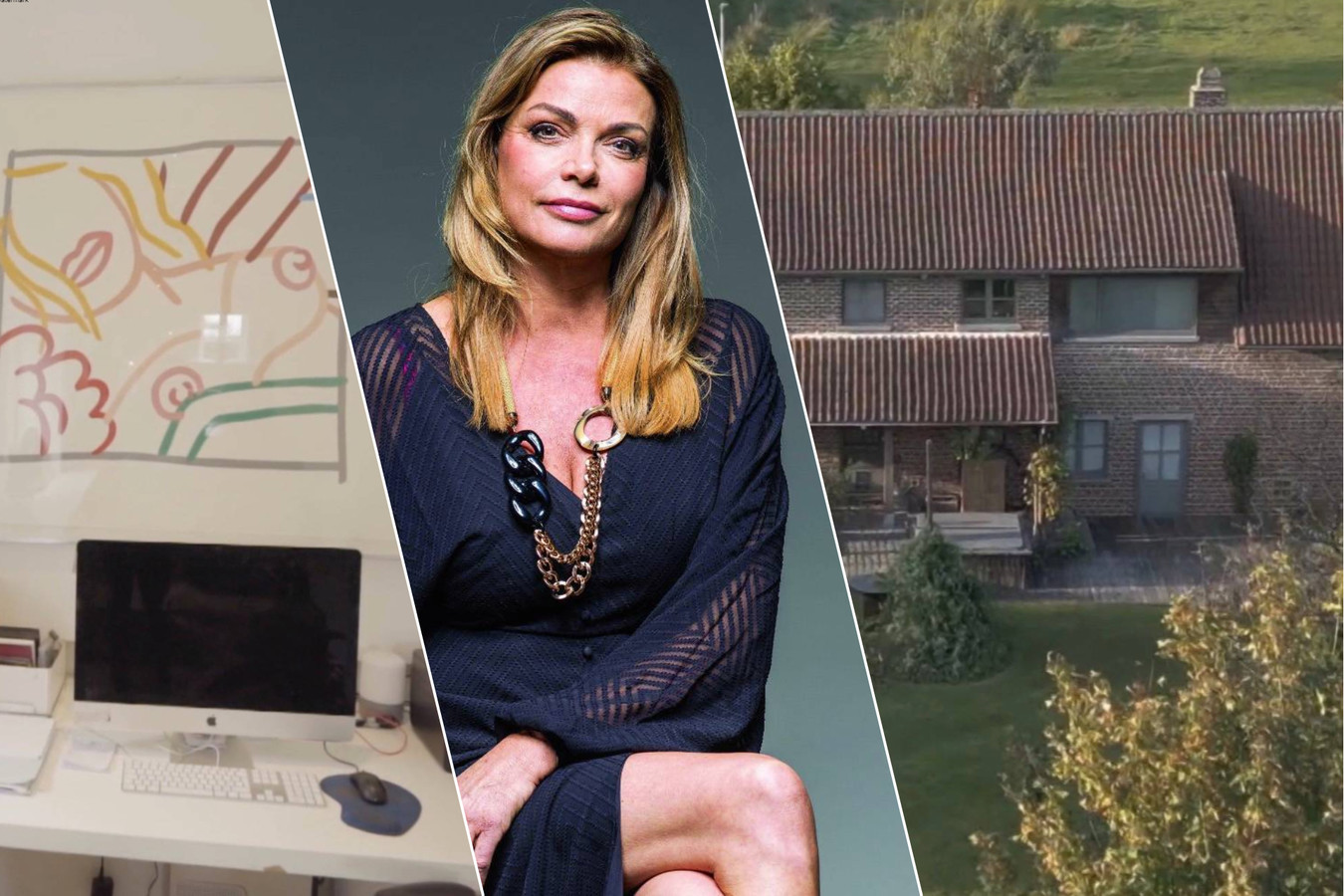 BINNENKIJKEN. Dure kunst en pikante slaapkamer: de gerenoveerde hoeve ...