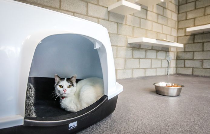 Modernste dierenasiel van het land is klaar, met dank aan erfenis van 1 ...