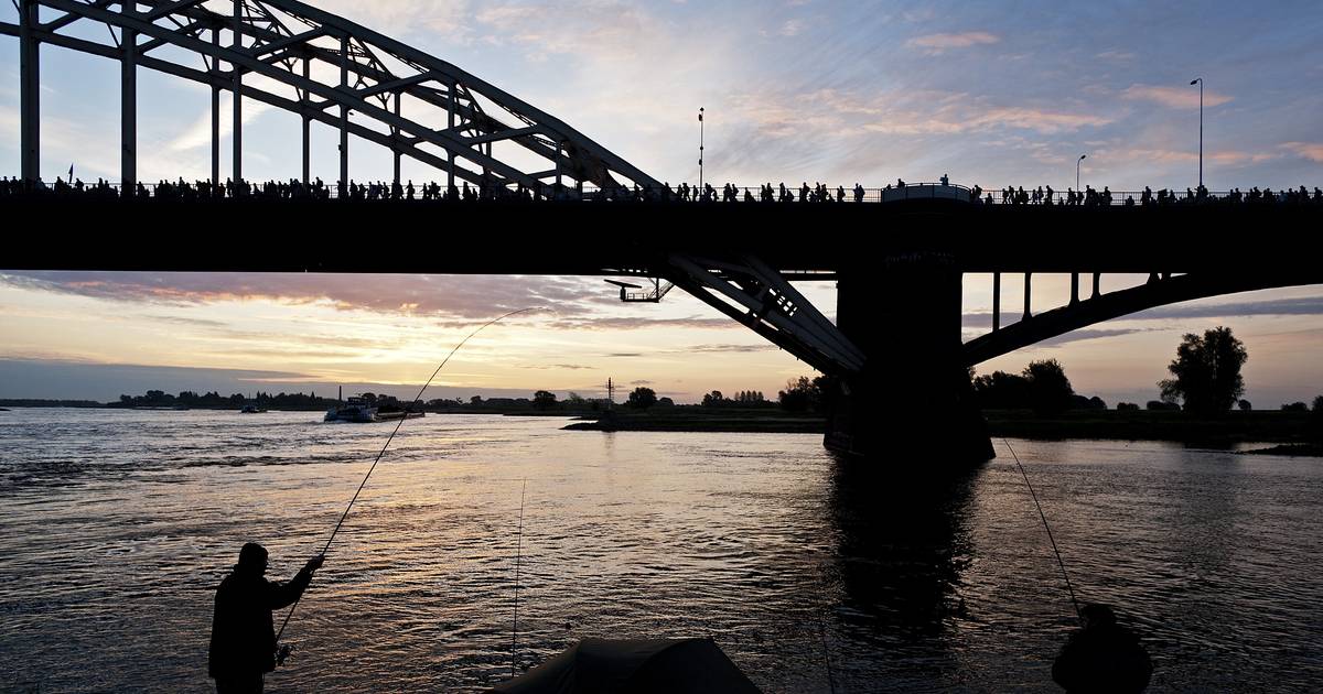 Bouw pontonbrug Vierdaagse nu oefening | Binnenland | tubantia.nl