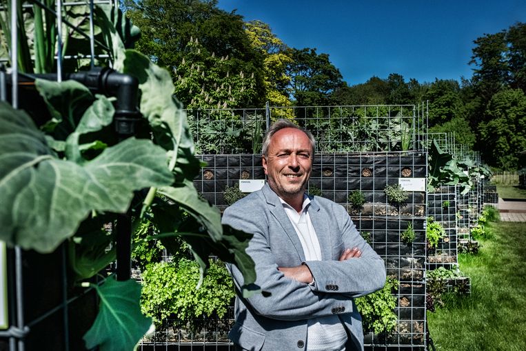 ‘Stedelingen hebben geen tijd om groenten te verbouwen, daarom doen wij ...