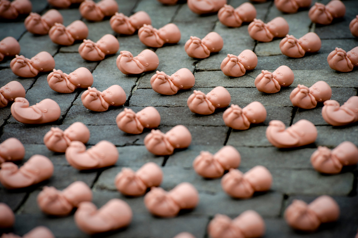 Pro-life heeft de wind mee: de macht van de anti-abortusbeweging wordt ...