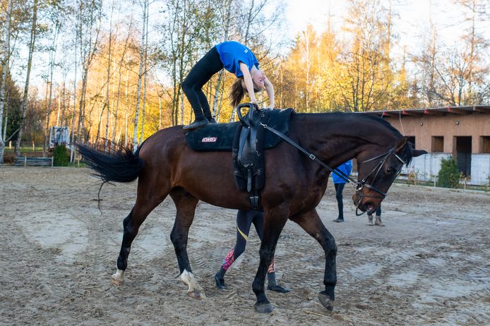Turn eens op een rijdend paard: “Vooral evenwicht en kracht zijn bij ...