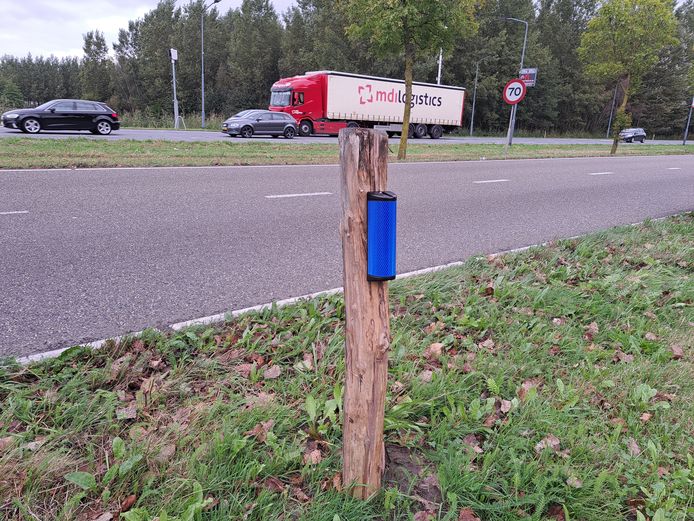 Dit is waarom er ineens paaltjes met blauwe ‘rolletjes’ langs de ...