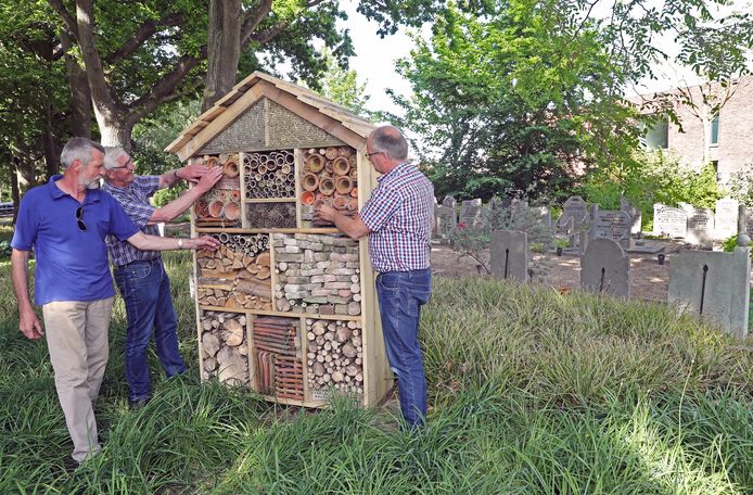Insectenhotel lokt bijen en vlinders naar begraafplaats | Voorne-Putten ...