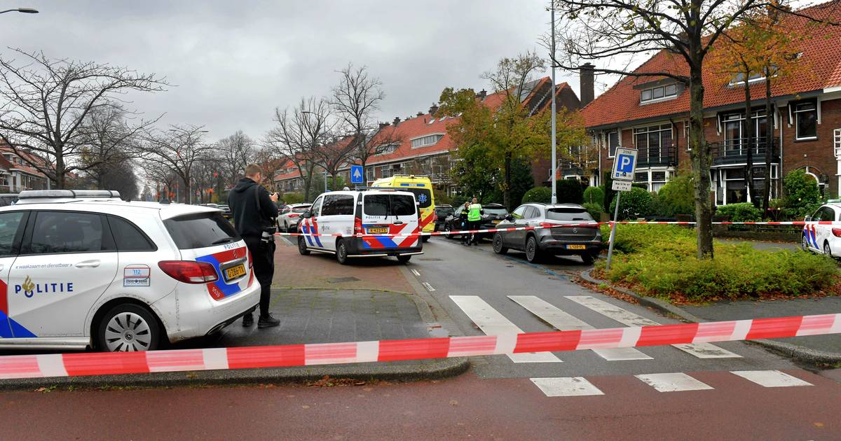 Gewonde bij steekpartij in Leidschendam: politie houdt verdachte aan in Voorburg na ...