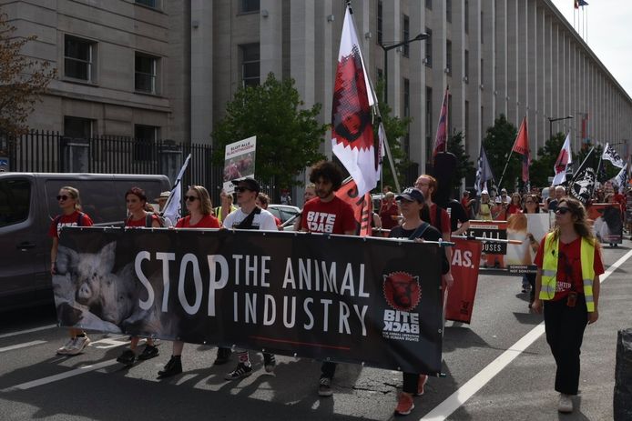 Bite Back voert actie: “Sluit alle slachthuizen” | Brussel | hln.be