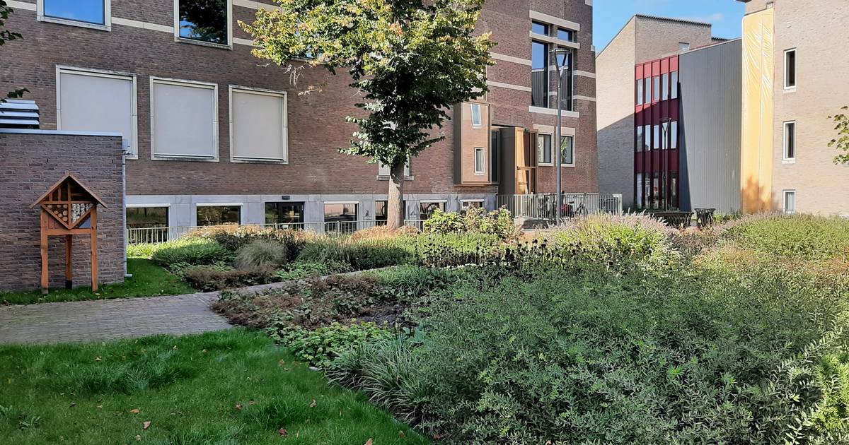 Meierijstad is al groen, maar wordt nog kleurrijker. ‘De natuur verloor ...