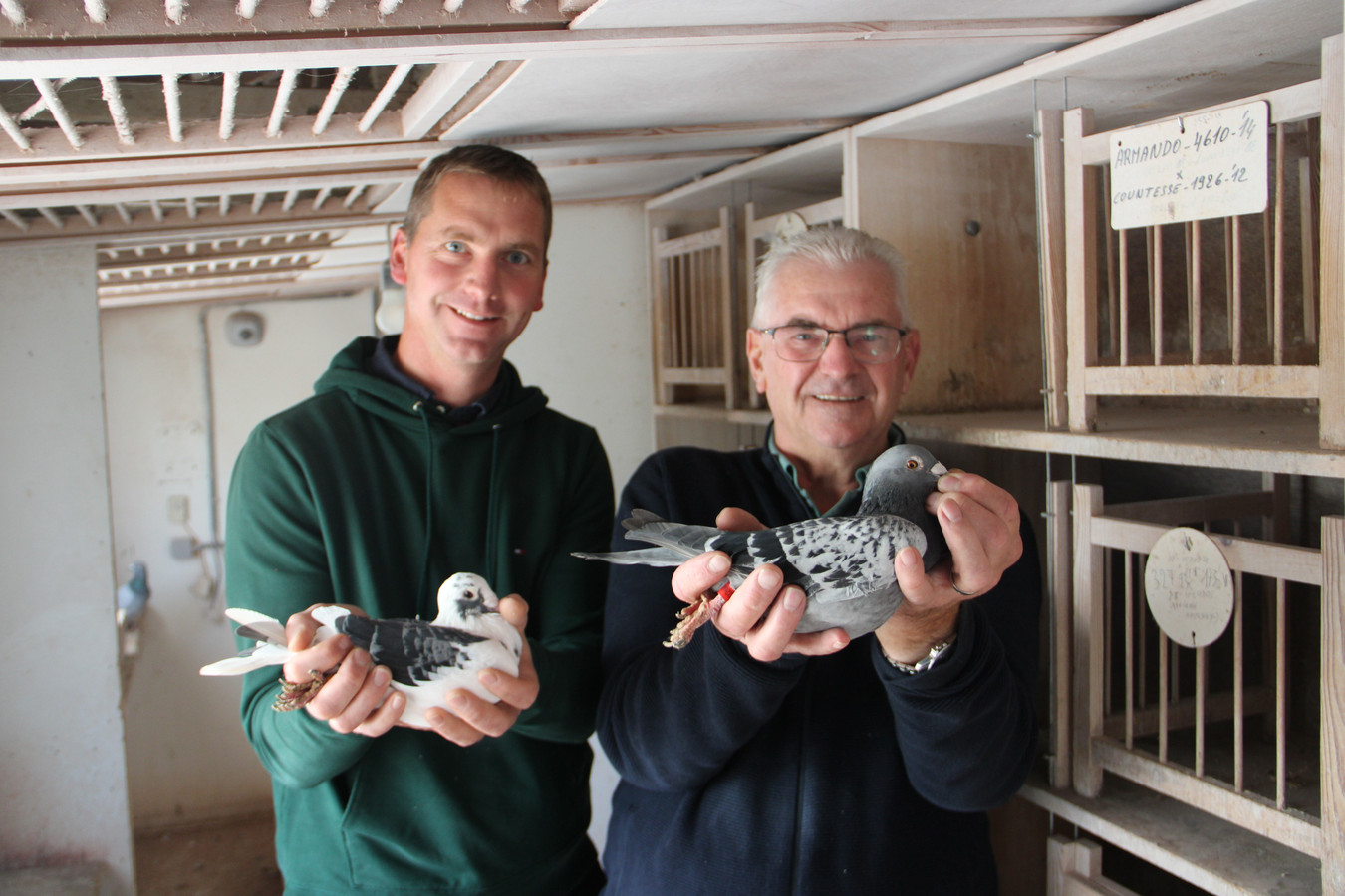 Joël Verschoot (67) verkocht in 2019 nog duif Armando voor 1,2 miljoen ...