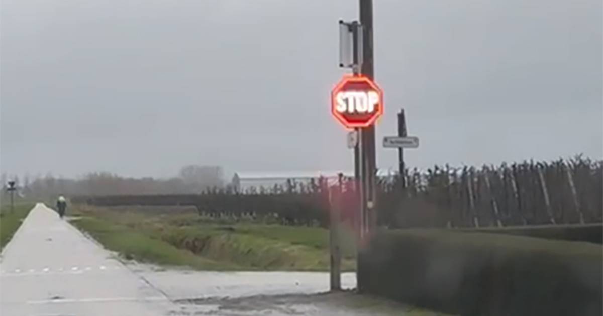 Oplichtend stopbord moet gevaarlijk kruispunt Turfbanken veiliger maken ...