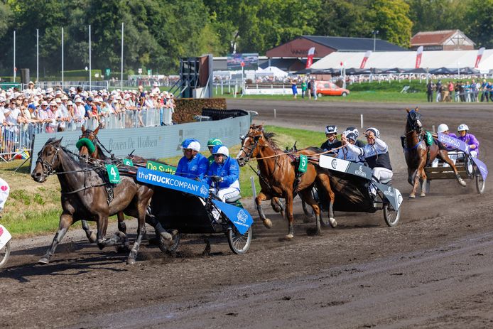 Paard ingeslapen na fatale val op Waregem Koerse | 175 jaar Waregem ...