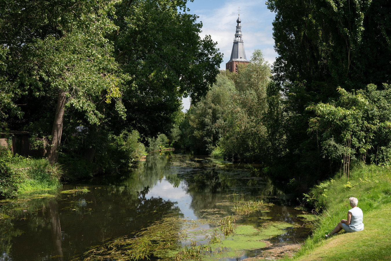 Bewoners Burgakker verbijsterd over natuurbestemming van hun tuinen aan ...