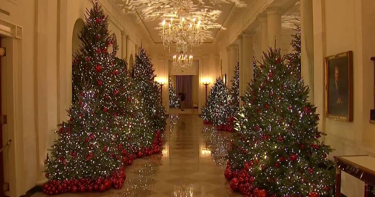 Witte huis al volledig in kerstsfeer | Buitenland | hln.be