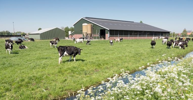 Benieuwd naar het leven op de boerderij? Dan mag je dít niet missen
