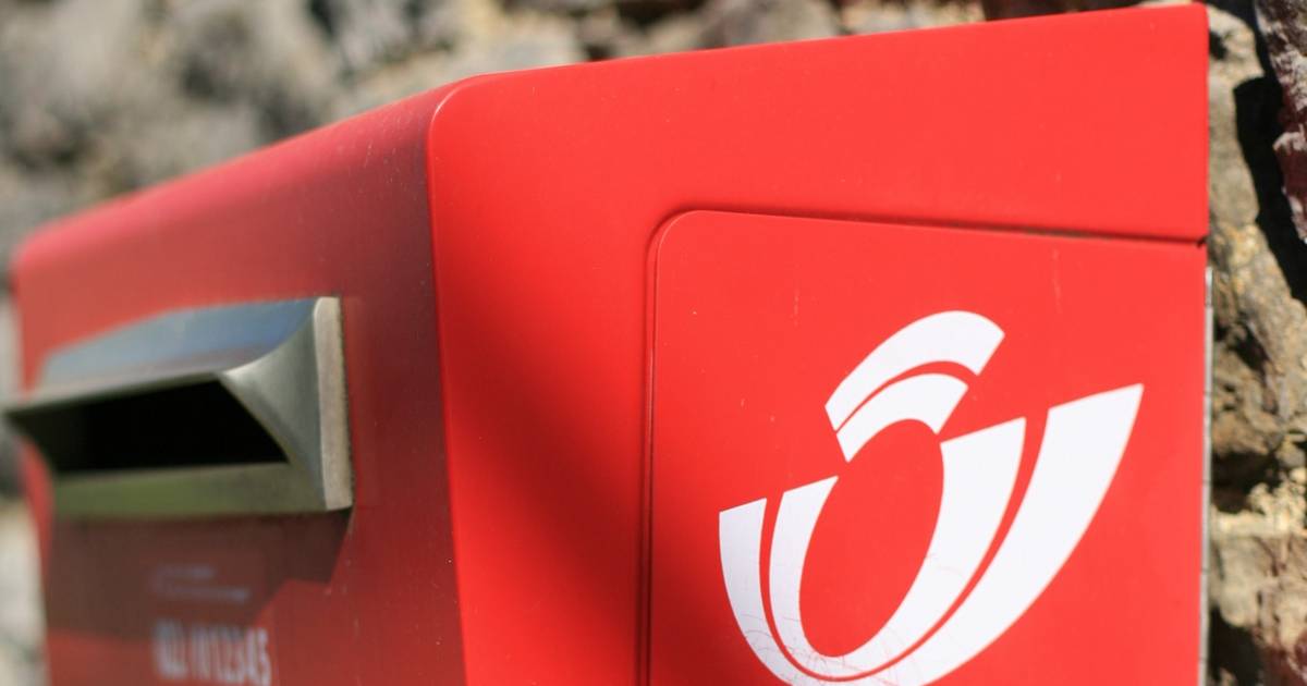 Postbode dumpt brieven in bos | Binnenland | hln.be