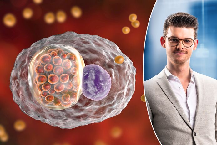 Alarm om toename 'papegaaienziekte': symptomen zijn meestal mild, maar ...