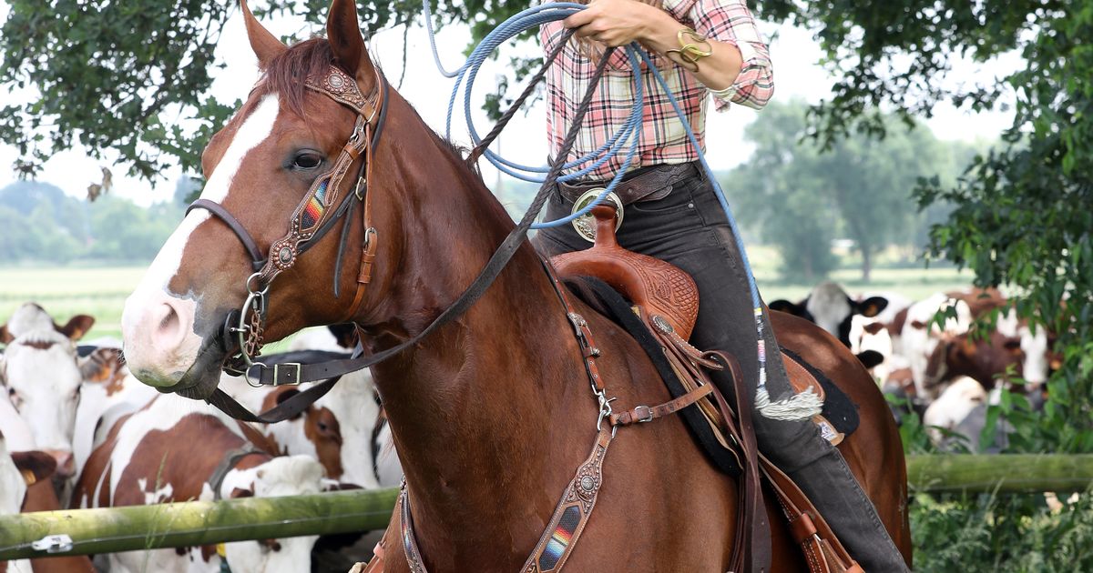 Maxine Michiels over haar overspelige vader: "Ik ben héél kwaad geweest ...