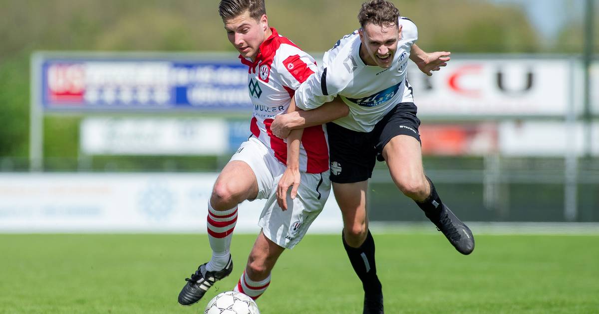 Job en Sam willen hun overleden moeder eren met lijfsbehoud: ‘We doen ...