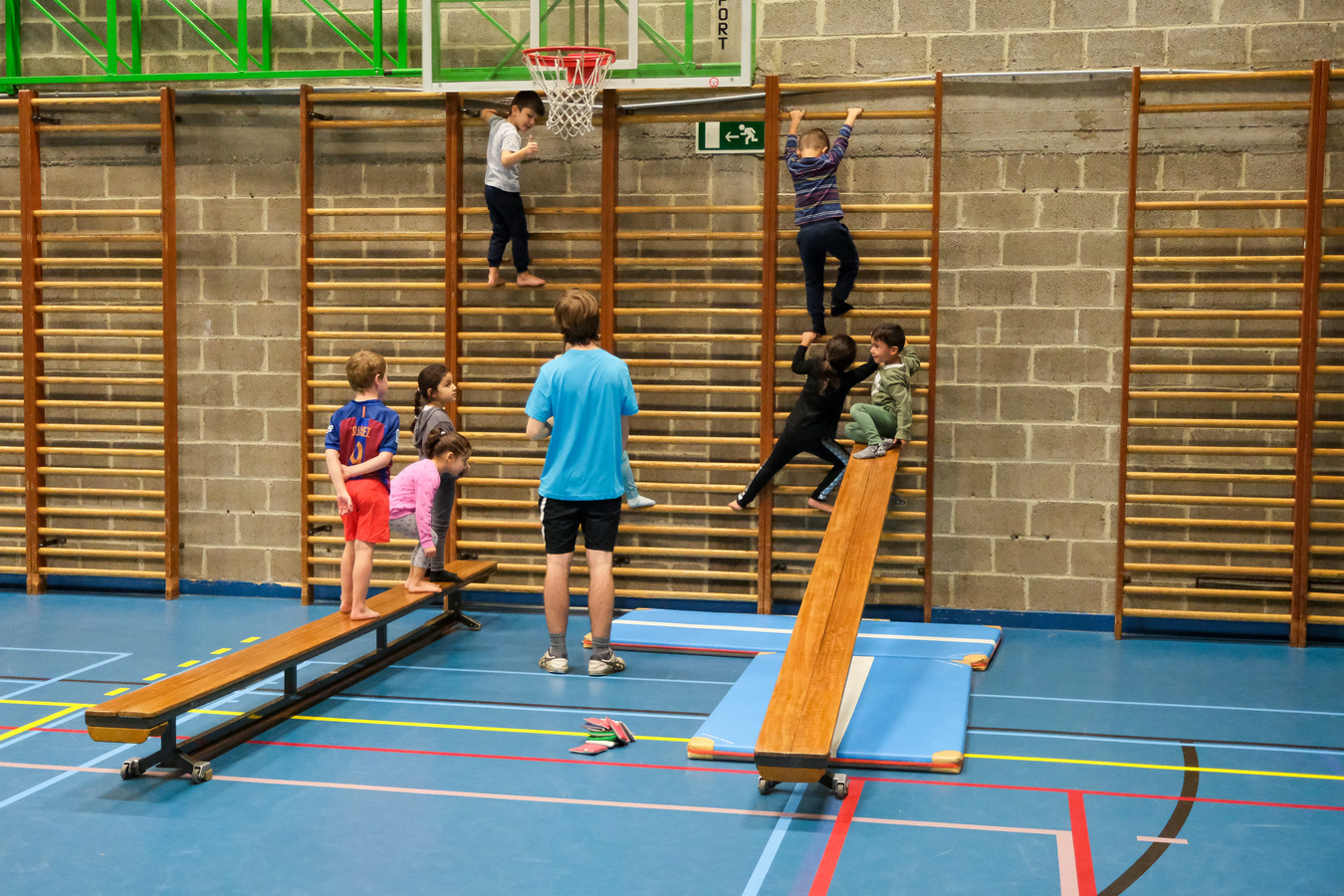 Multimove : Gevarieerd bewegen voor jonge kinderen | Foto | hln.be