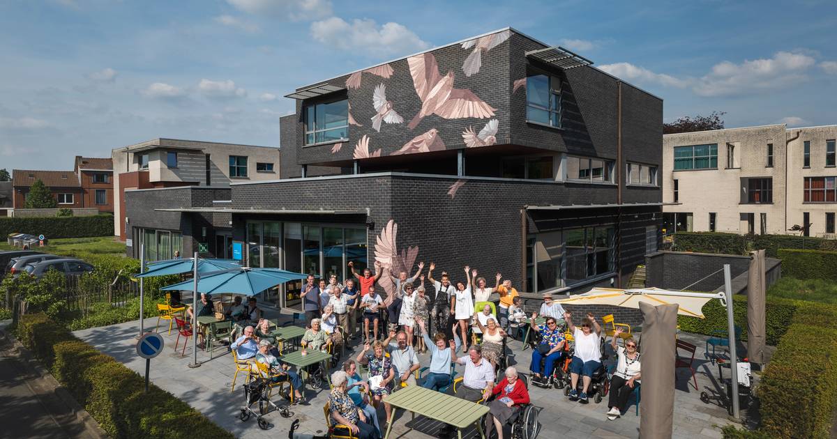 Wondelgem krijgt een streetart-route, ook voor kinderen: “Ontdek 20 ...