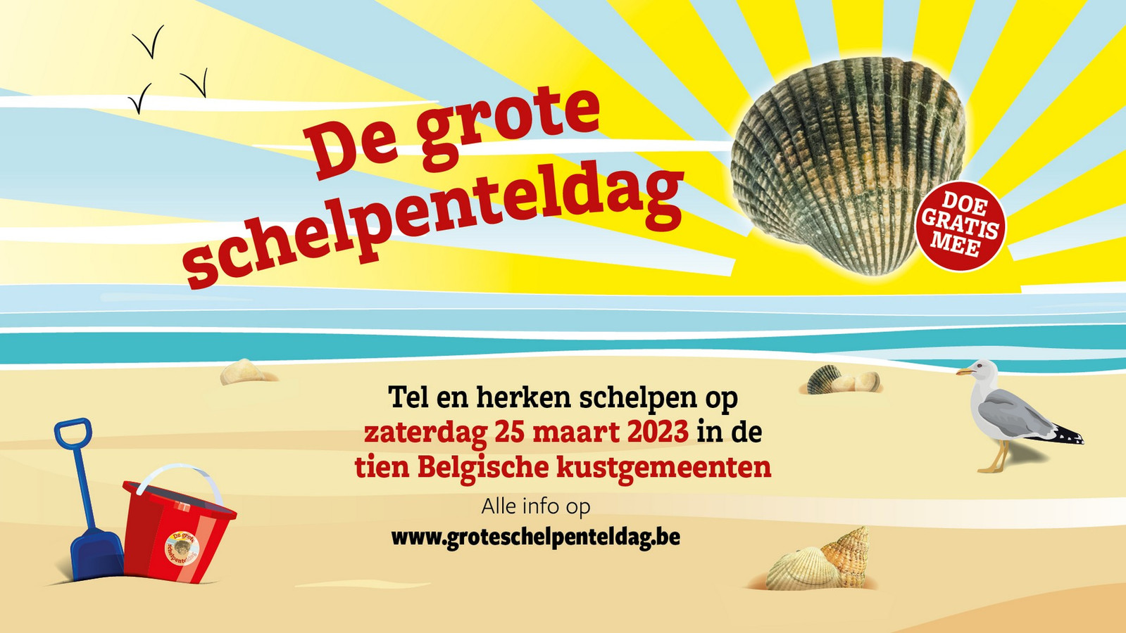 Van schelpen tellen tot een filmpremière: ontdek onze vijf weekendtips ...