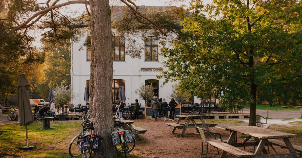 Drie maanden lang winterbar op Perron Noord: “Gevoel van chalet op ...