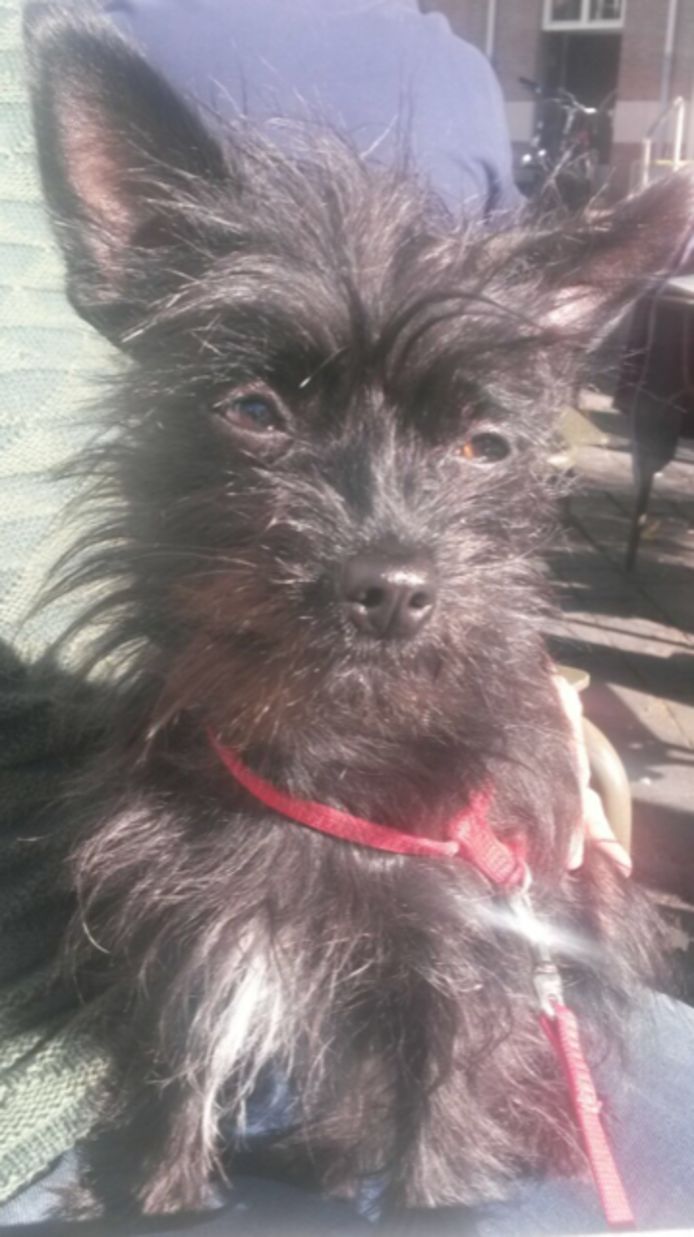 Dit zijn onze Frekkels uit de regio | Home | gelderlander.nl