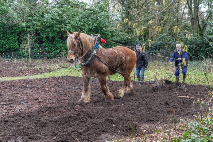 Met leeftijdgenootjes je eigen groenten kweken, geweldig toch? | Van de ...