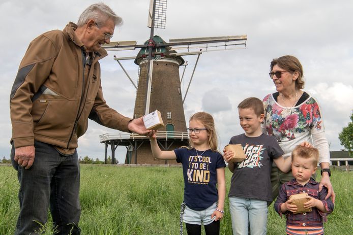 De Hollandsche Molen, icoon en symbool van nostalgie in Neede: ‘Er is ...