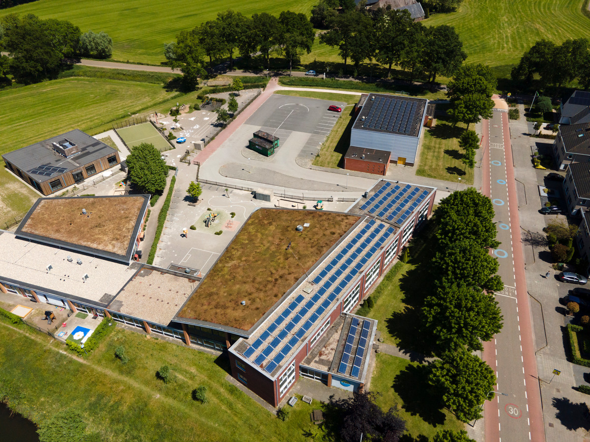 Van grijs naar groen: school in Raalte-Noord pakt voor tienduizenden ...