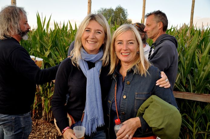 IN BEELD. Campo Solar in Damme start onder stralende zon | Damme | hln.be