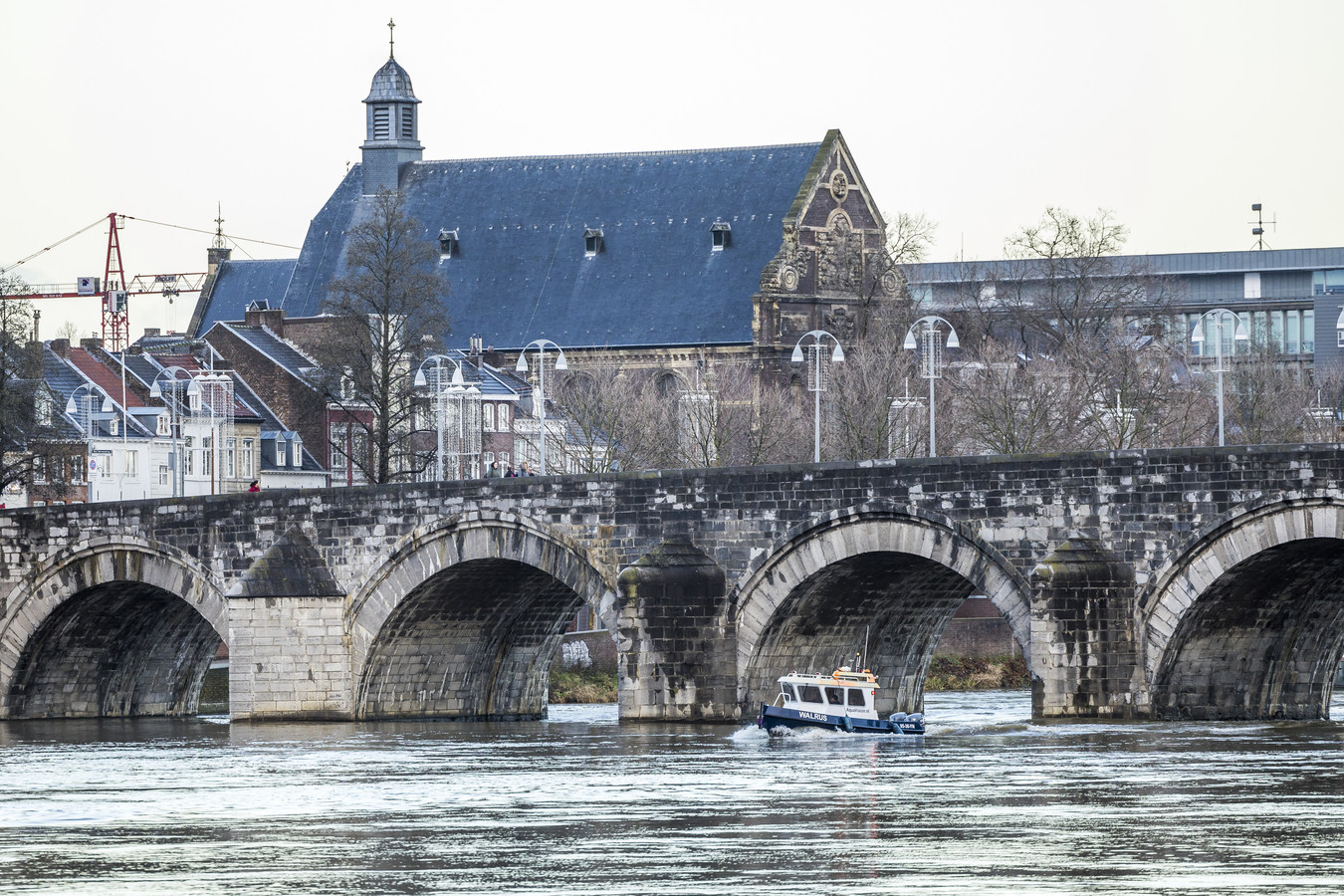 Man (23) overleden na val in de Maas, 58-jarige man opgepakt | Foto | bd.nl