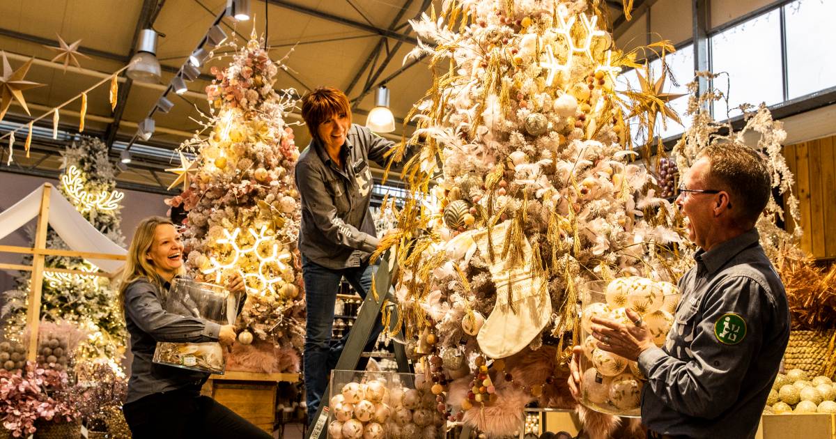 Gekkenhuis bij kerstshow Intratuin in Almelo, waar aan alles is gedacht ...