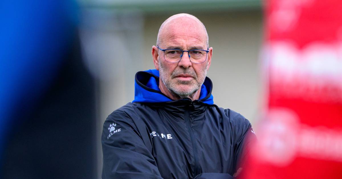 Van ideale schoonzonen tot brutale jongens van de straat: de nieuwe ...