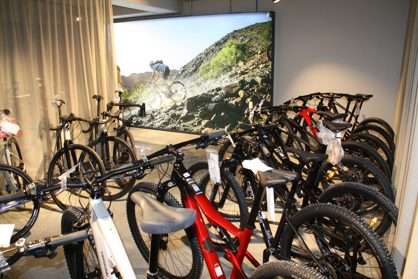 NET OPEN. Lo-Reninge heeft met Velolo een eerste fietswinkel: “We doen ...