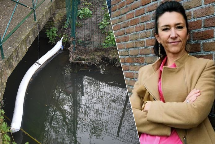 Londerzeel en Meise onderzoeken waar mazoutlek in de Molenbeek vandaan ...