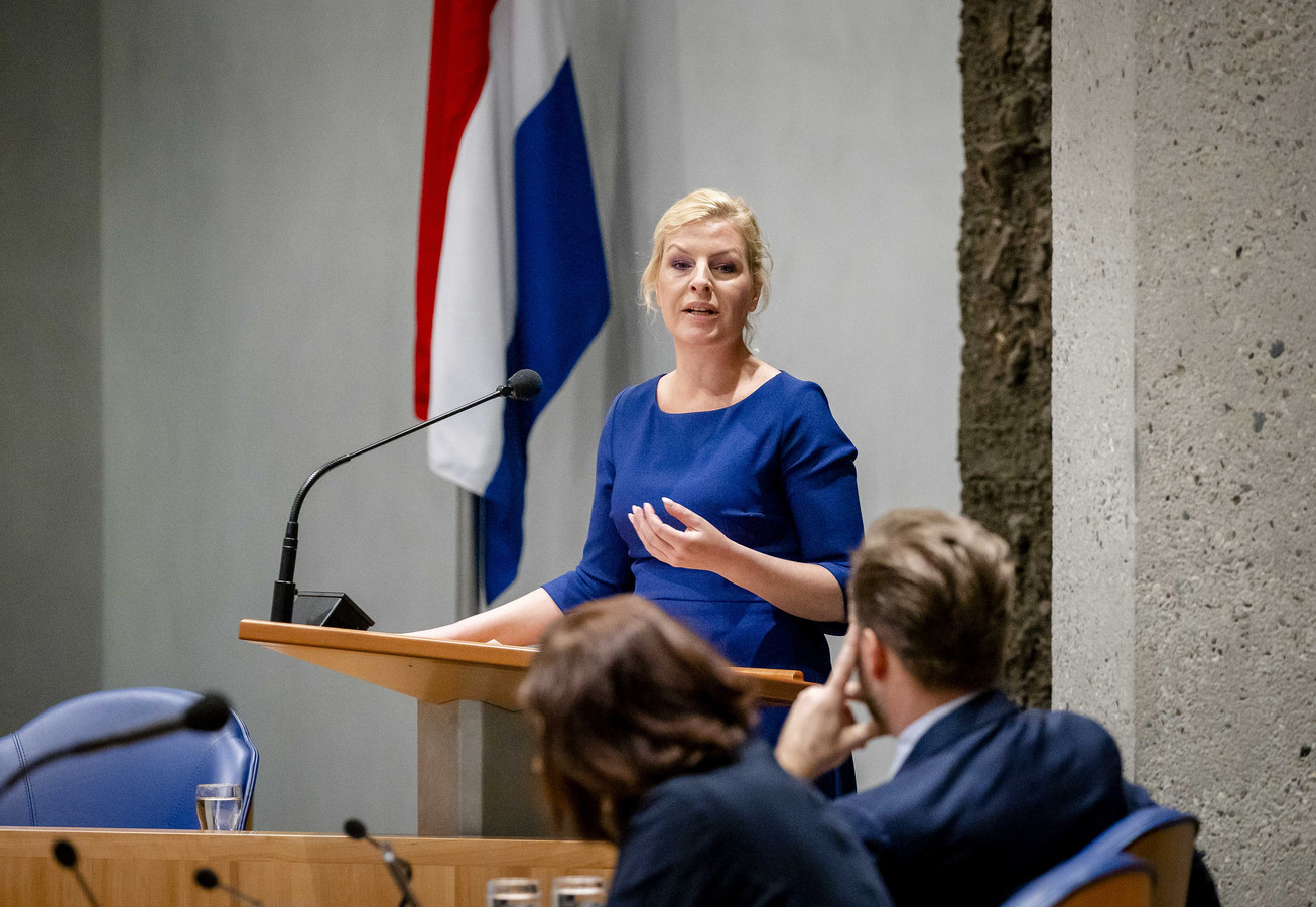Ook PvdA-Kamerlid Attje Kuiken wil fractie leiden | Foto | gelderlander.nl