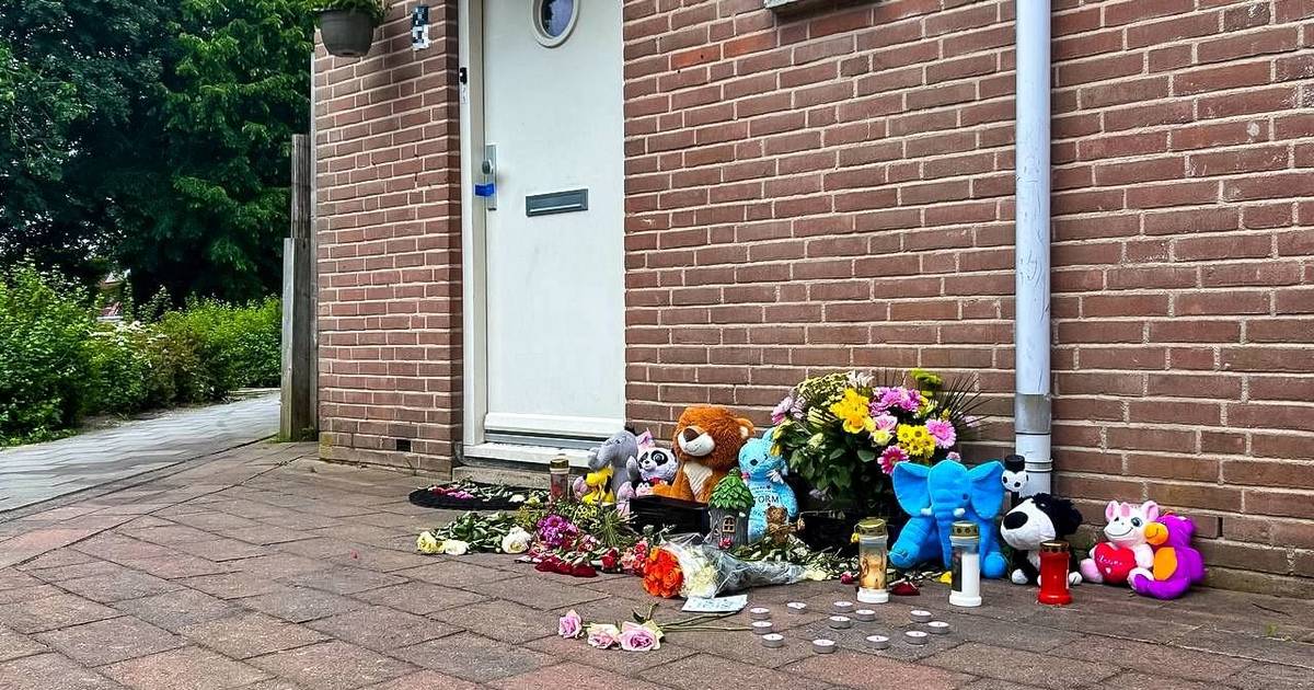 Politie houdt 36-jarige vrouw uit Lelystad aan voor betrokkenheid bij ...